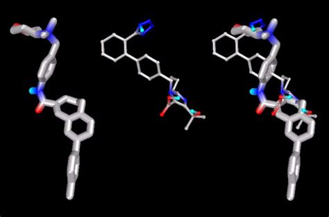 Candesartan Docked Into The VDR Ligand Binding Pocket Note The Core