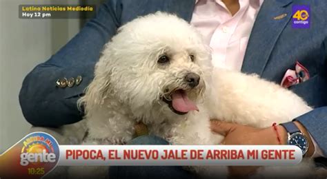 Pipoca ¿por Qué Fernando Díaz Llamó Así A Su Mascota