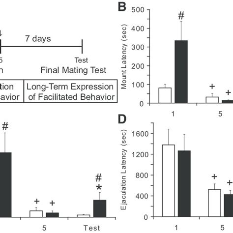 Endogenous Opioids Play A Critical Role In The Experience Induced