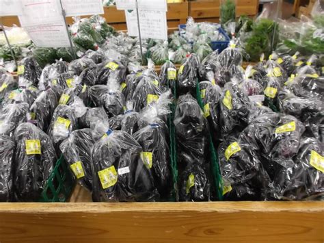「なす」入荷しました！ あぐれっしゅ川越 Jaいるま野