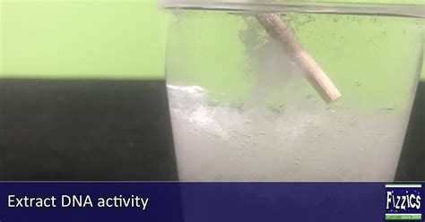 Extract DNA Fizzics Education