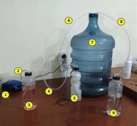 Plant Growth Promoting Bacteria