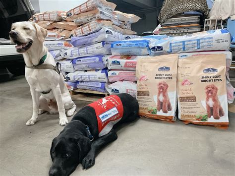 嘖嘖 專案更新 【犬力加倍，把愛化為行動 你捐糧倍力加碼】導盲犬訓練車募資計畫：計畫更新 5【導盲犬訓練車募資計畫 募資結案！】