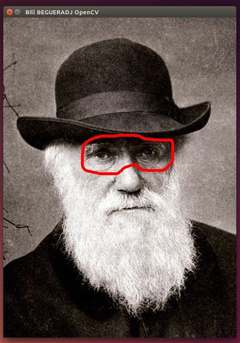 How To Make A Free Hand Shape Random On An Image In Python Using Opencv Stack Overflow