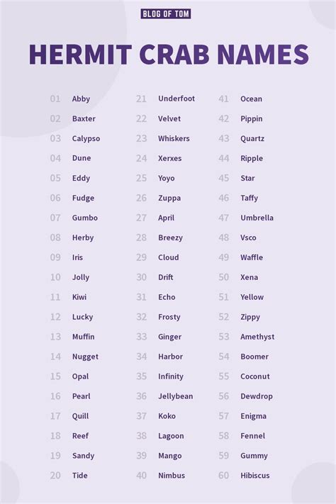 999 Hermit Crab Names Best Funny Cute Ideas Artofit