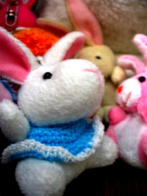 Bunny By Anek92 On Deviantart
