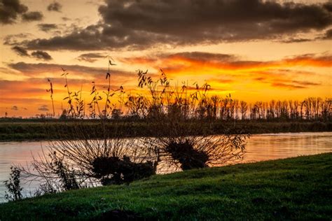 Two Trees Of Valinor Images Browse Stock Photos Vectors And Video Adobe Stock