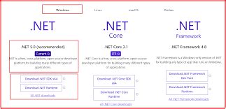 Asp Net Core Environment Setup Learning Hub