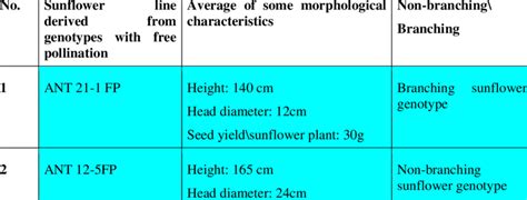 Morphological Characteristics Of Sunflower Genotypes Derived From