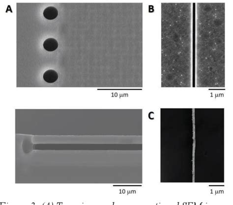 Figure 3 From Nanoscale Stencils Fabricated By Focused Ion Beam Milling And Dry Transfer Of