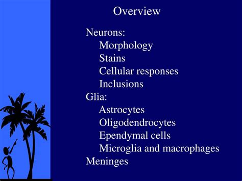 Ppt Basic Essentials Of Cns Histopathology In Less Than 1 Megabyte