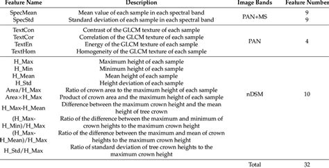 feature variables used for traditional machine learning classification