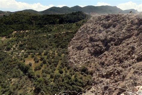 Hatay da ormana ve zeytinliğe dökülen molozlar ağaçlara zarar veriyor