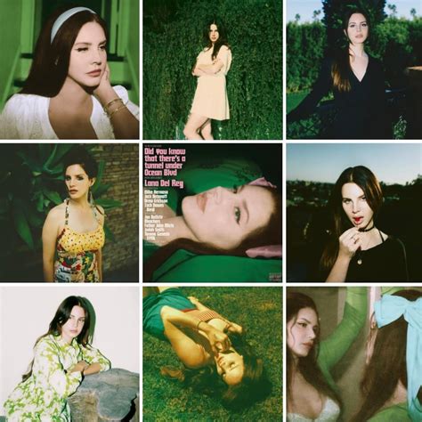 Gui Ouvindo O Ocean Boulevard On Twitter RT Asherw Fe Neil Krug The Man That You Are