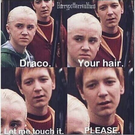 Pin Von A R Auf Harry Pottah Draco Harry Potter Lustig Lachen