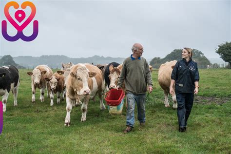 Veterinary Woman For Women Within Veterinary Practice