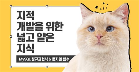 Mysql 정규표현식과 문자열 함수