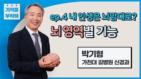 뇌는 어떤 일을 하나요 뇌의 영역별 기능 전두엽 측두엽 두정엽 후두엽 소뇌 Youtube