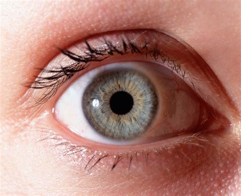 Close Up Photography Eye