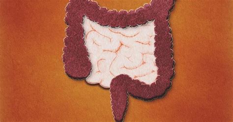 Intestino Preso Saiba O Que Fazer Para Aliviar O Desconforto Vale Do Itaunas