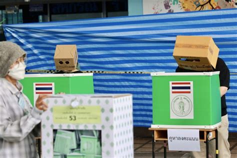 เพนกวิน พาน้องสาว สวมกล่องครอบศีรษะ แซะกกต