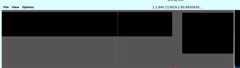 Specify More Than One Coordinates In The Filter Issue Pydicom Deid GitHub