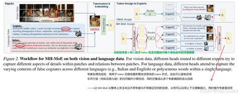 论文笔记：multi Head Mixture Of Experts Csdn博客