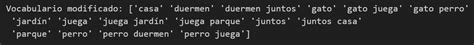 Scikit Learn NLP Representación texto extracción características