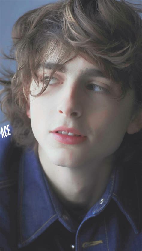 蒂莫西·柴勒梅德timothée Chalamet，甜茶， 高清图片，堆糖，美图壁纸兴趣社区