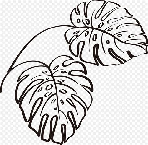 Png Png