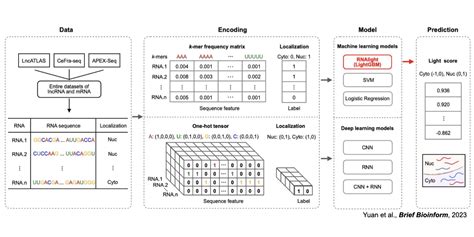 Bioinformatics And Interdisciplinary Technologies BITs Yang Lab
