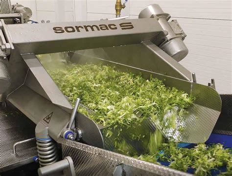 Vegetable Processing Line Sormac