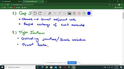 SOLVED What Are Border Cells And What Are Some Functions Attributed To Them