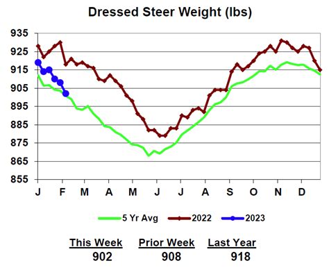 Carcass Weights Plummet The Beef