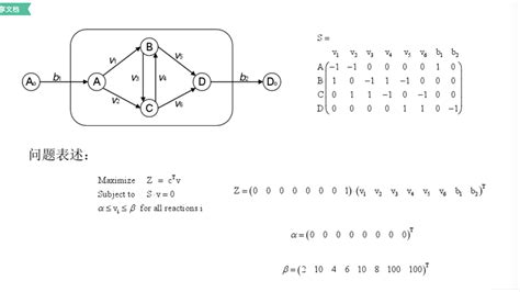 流平衡分析（fba）