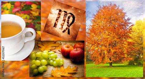 Zodiac Symbol And Various Pictures With The Characteristic And They