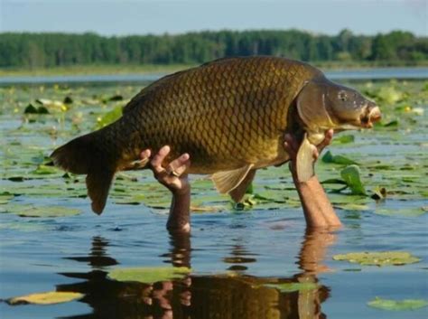 Customer Segmentation Part Fishing Where The Big Right Fish Are Greg Martinelli