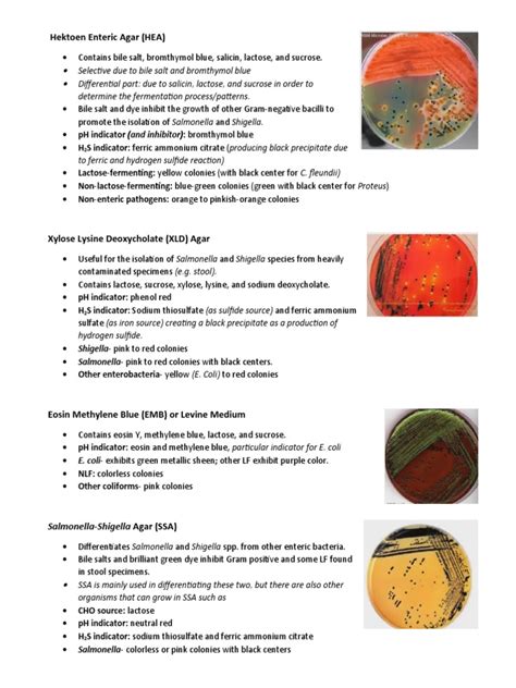 Hektoen Enteric Agar