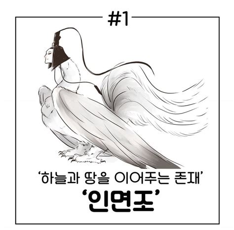 불나방 2018평창동계올림픽 광수형이거기서왜나와 인면조가 사실은 불교에선 상상의 새인거 Facebook