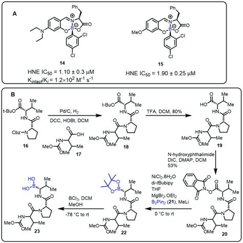Scheme 5 A Borate Complexes B Barans Protocol For The Synthesis