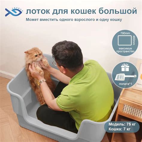 Туалет для животных купить на OZON по низкой цене (1782834736)