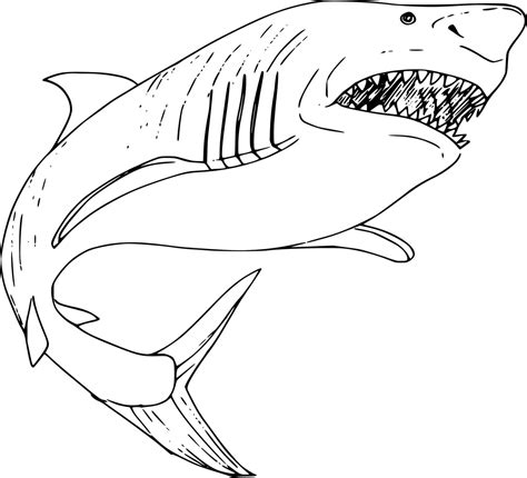 Tiburones Para Colorear