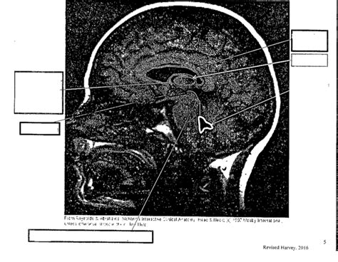 Exam 2 Diagram 3 Diagram Quizlet