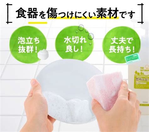 現貨 日本製 日本主婦大力推介 Pax Naturon 太陽油脂洗碗清潔海綿 Made In Japan Kitchen Sponge 傢俬