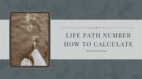 Life Path Number How To Calculate MyLifeDraft