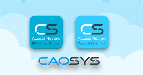 CS Access Review User Access Reviews CAOSYS
