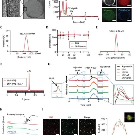 Lnp‐raβ‐induced Tdcs And Treg Cells A Flow Cytometry Analysis And B