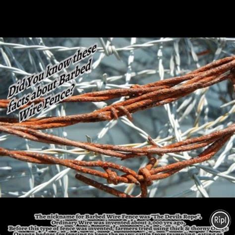 Fun Facts And History About The Barbed Wire Fence Call Us For Your Land
