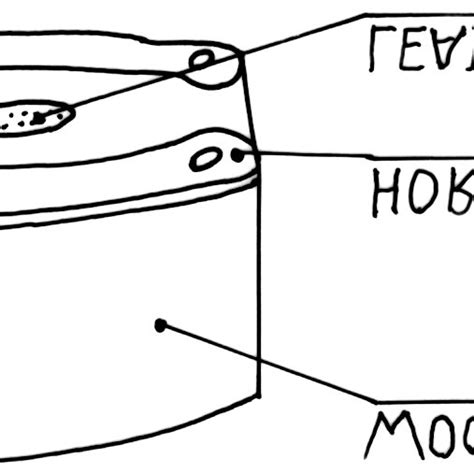 Sliding Body In The Friction Tests Download Scientific Diagram