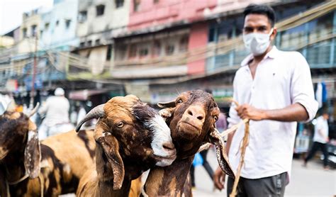 Eid Al Adha 2024 Dates Announced For Saudi Arabia India Uae Uk And Us